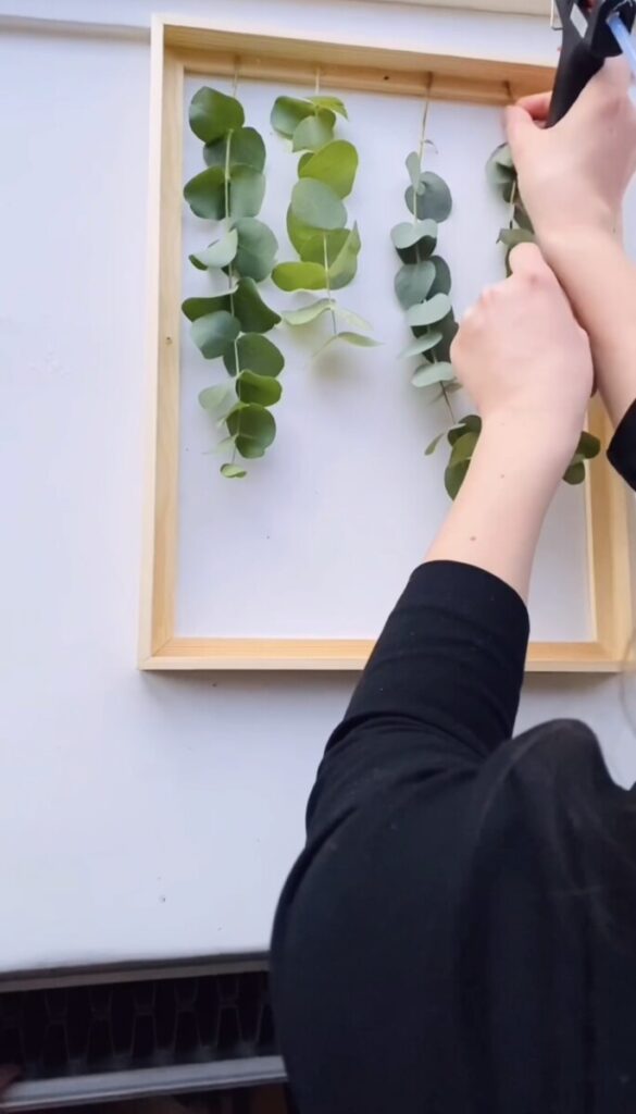 Eukalyptus i ramme - Sarahs lille hjem